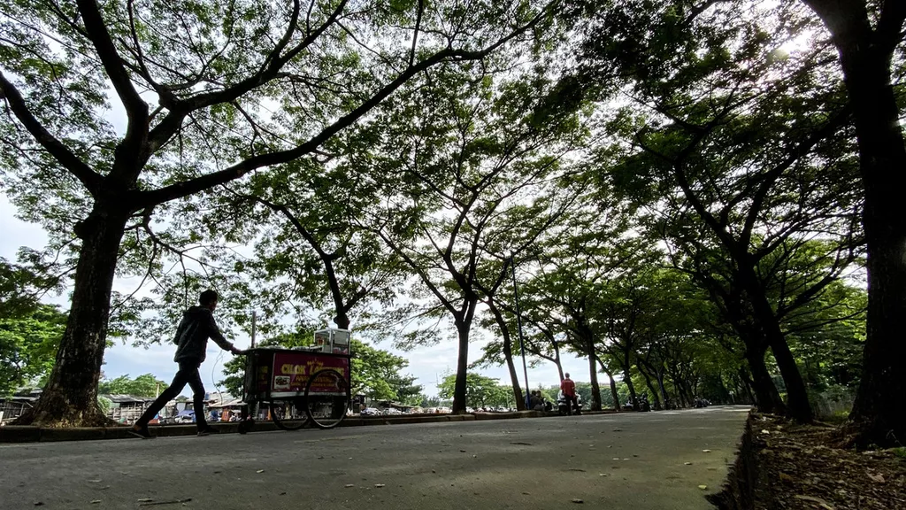 Menanam Trembesi, Menyerap Emisi - Environment Institute