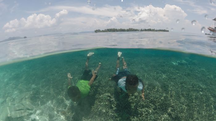 Pertaruhan Raja Ampat dan Sesal-Sesal Kehilangan - Environment Institute